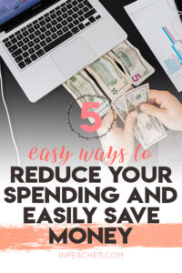 5 Easy ways to reduce your spending and easily save money - inPeaches
