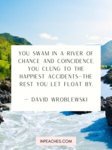 80+ Inspirational Water Quotes to Flow Through Life - inPeaches